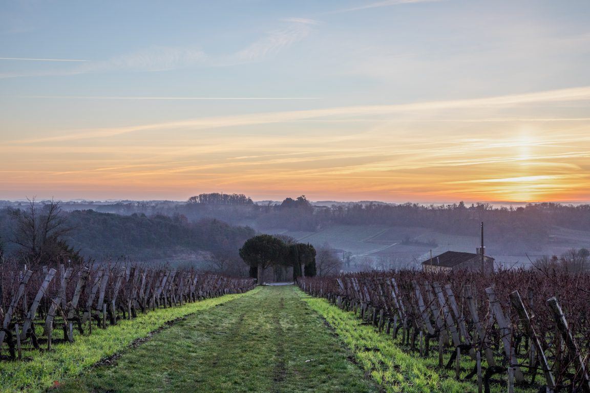 Troplong Mondot - Changing of the Guard